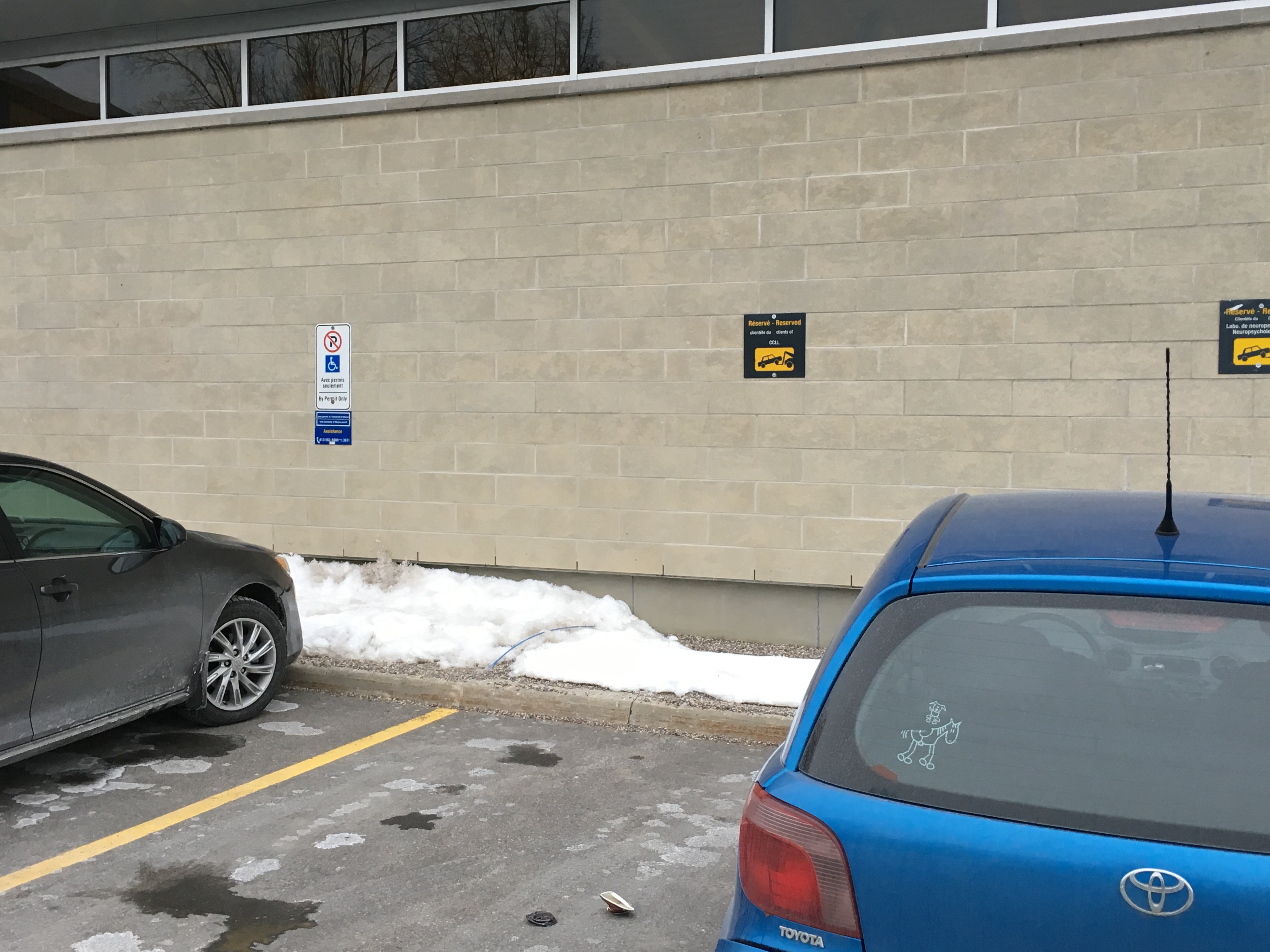 Language Development Laboratory